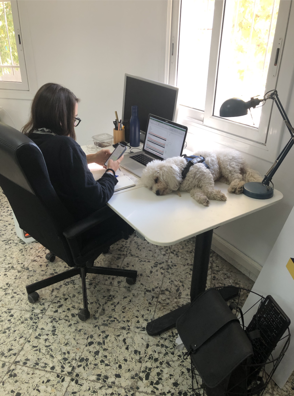 Working in the midst of the brand evolution - Antiloop Studio